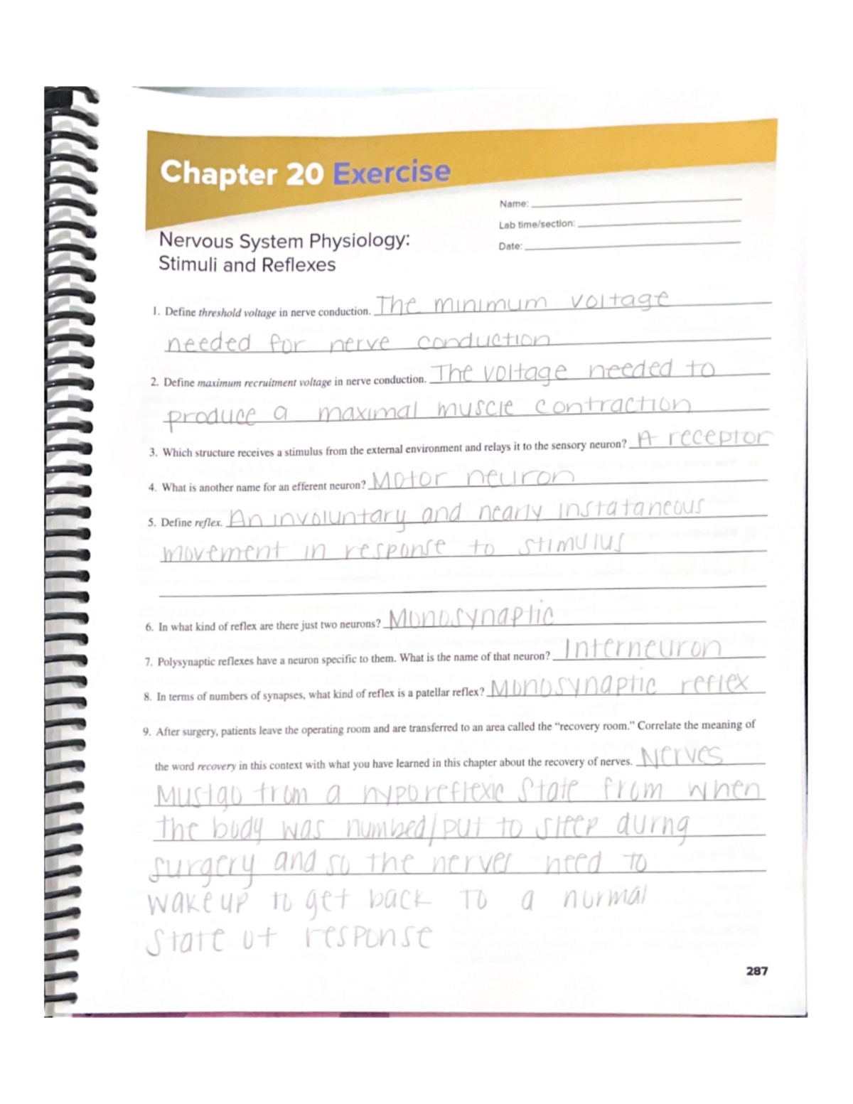 Chapter 20 Exercise - Lab book work - Chapter 20 Name: Lab Nervous ...