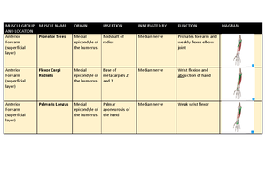 Muscles= Hand - Muscle summary table - MUSCLE GROUP AND LOCATION MUSCLE ...
