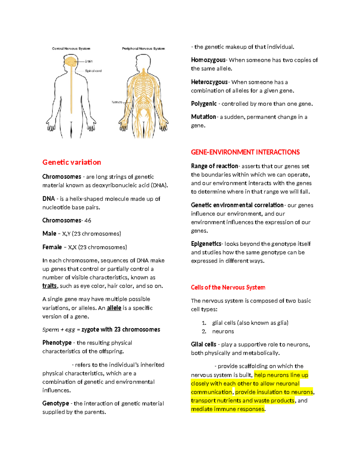 Introduction to Psychology Chapter 3 - Genetic variation Chromosomes ...