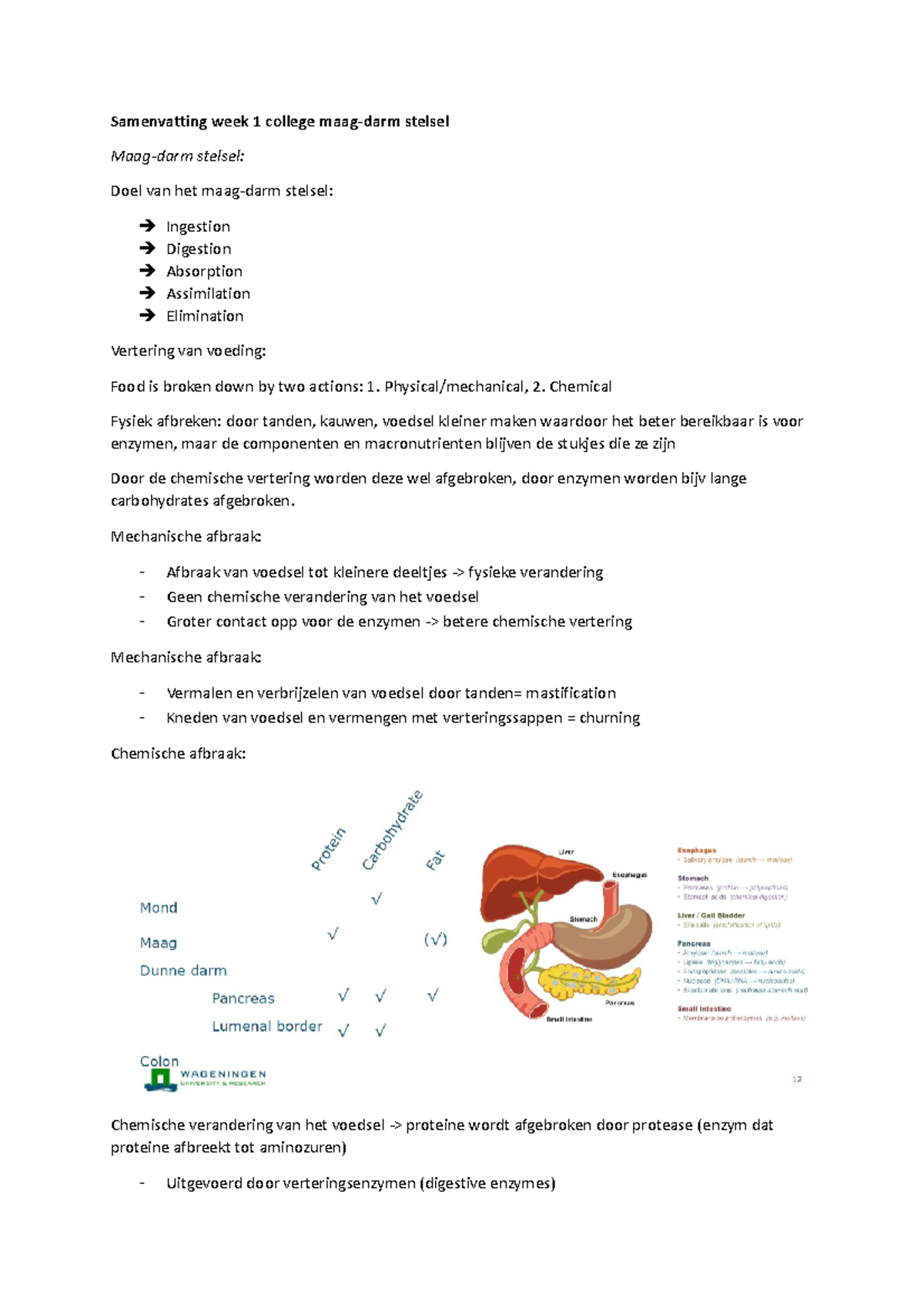 Samenvatting Lecture maag-darm stelsel 2023-2024 - Samenvatting week 1 ...