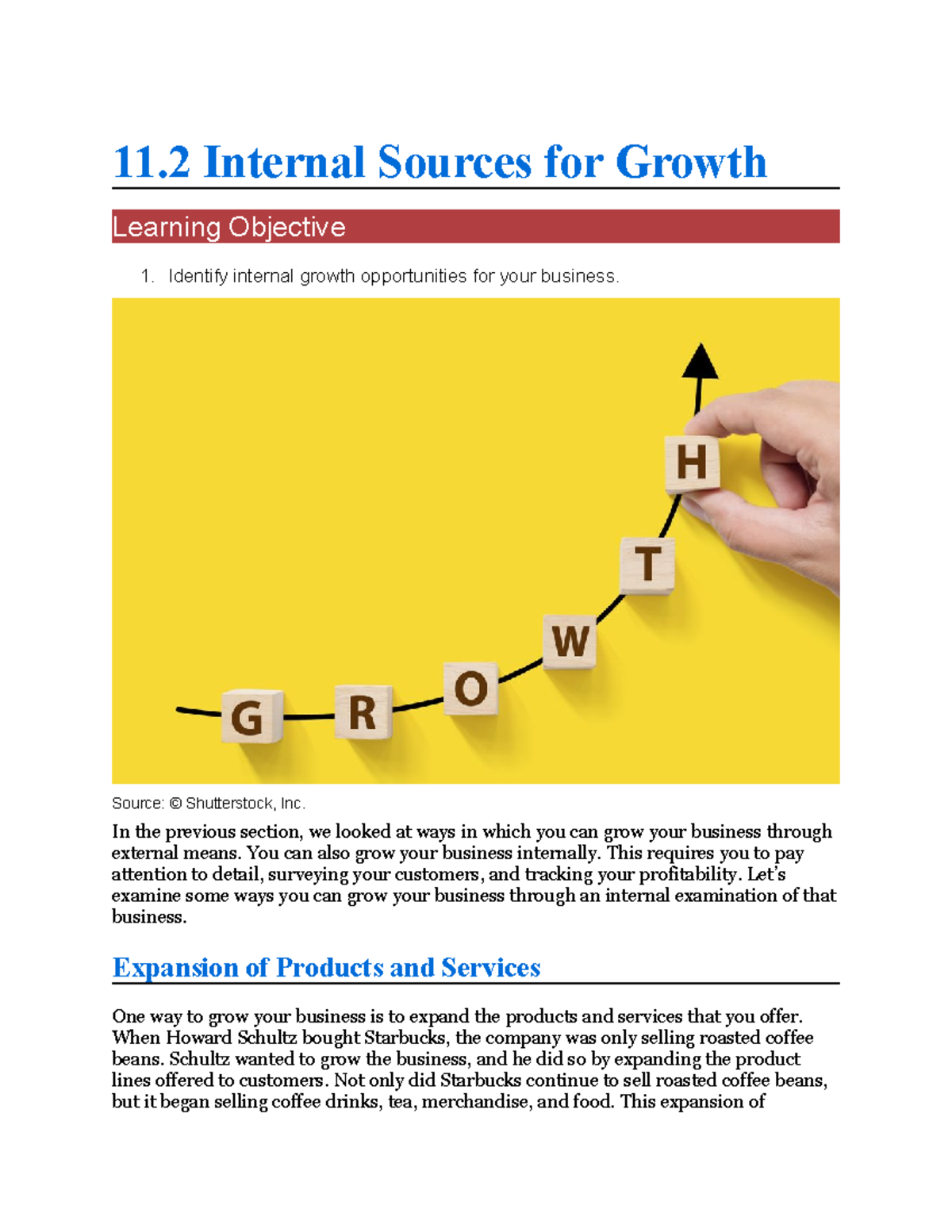 11.2 Internal Sources for Growth - 11 Internal Sources for Growth ...