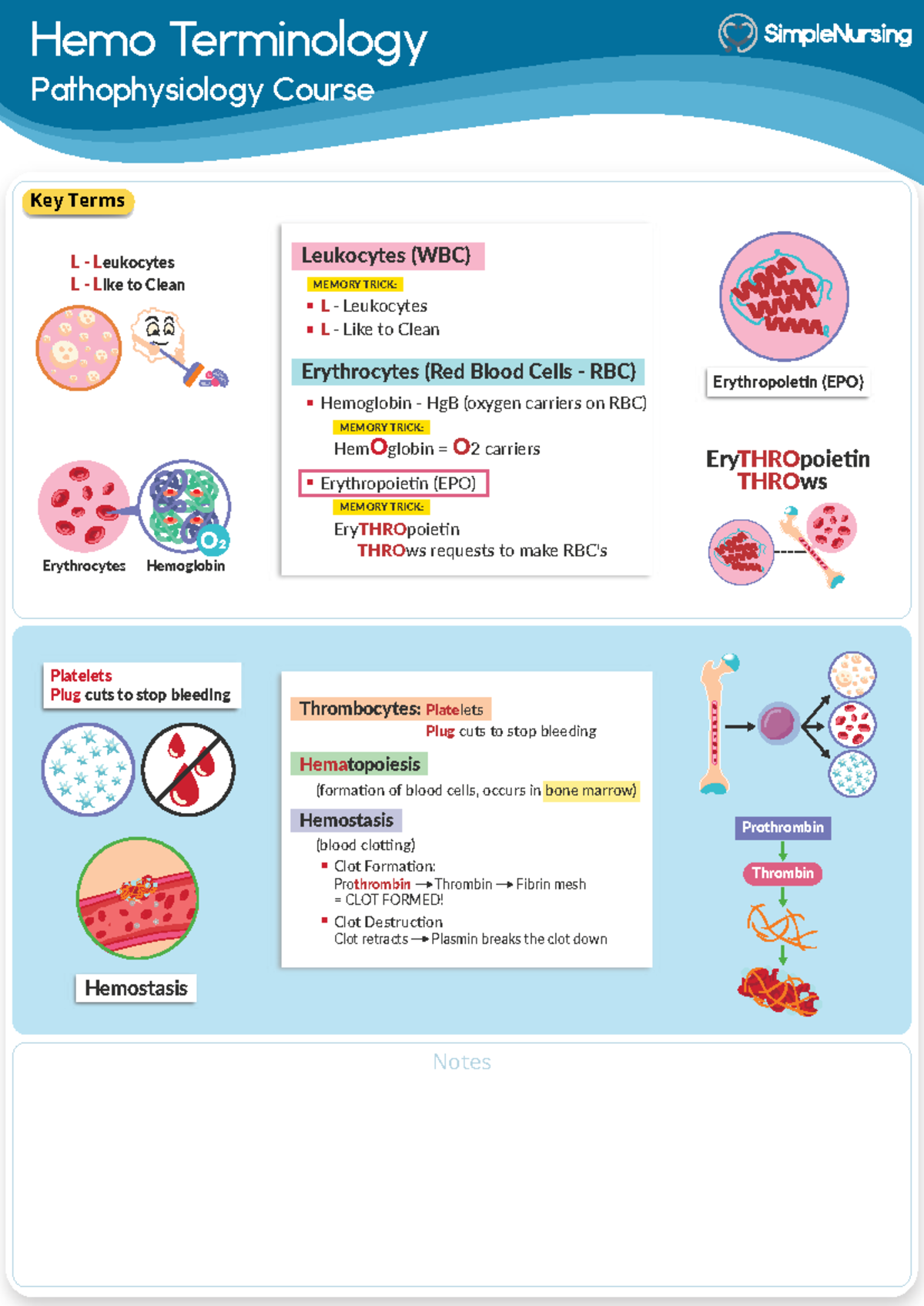 Hematologic Disorders - Hemo Terminology Pathophysiology Course Notes L ...