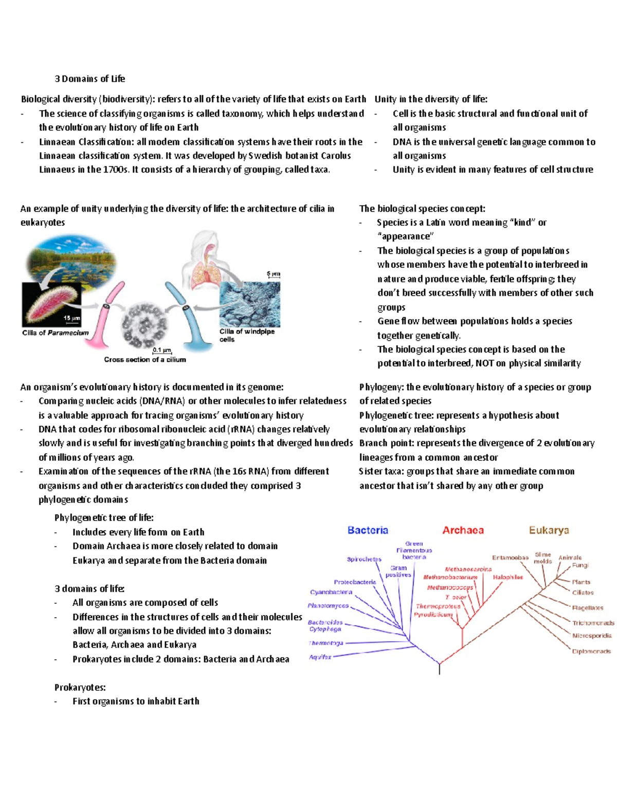 Three Domains of Life and Eukaryotic Cell Cycle - 3 Domains of Life ...