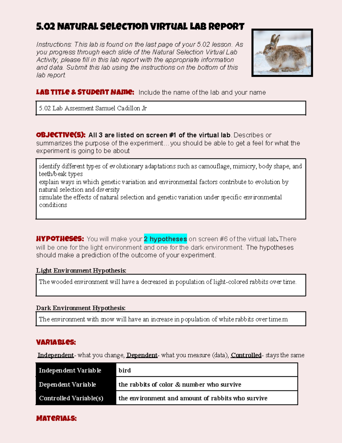 Copy of 5 02 lab report template-v23 - 5 Natural Selection Virtual Lab ...
