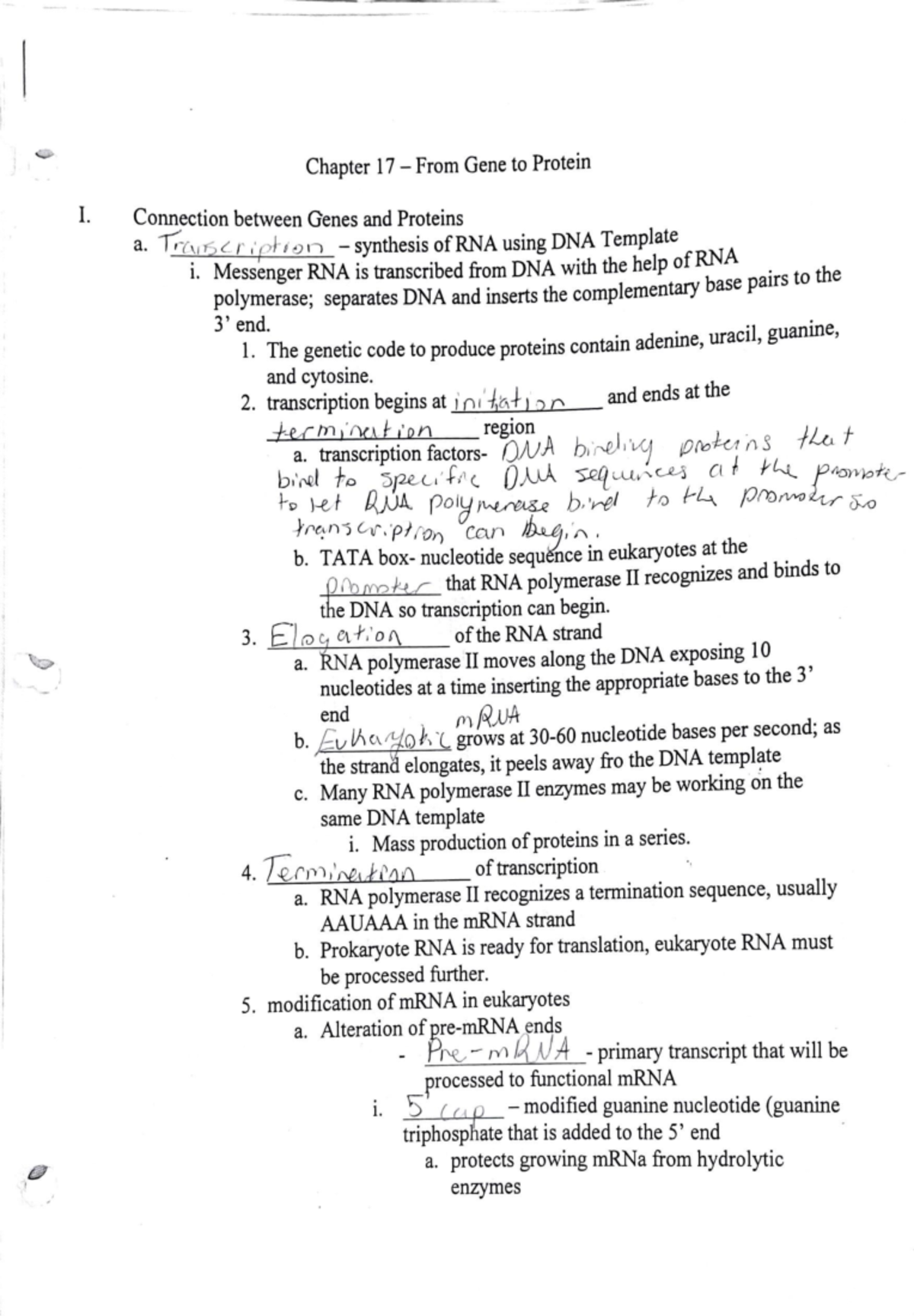 From gene to protein part 2 - ####### I. 0 ####### Chapter 17 - From ...