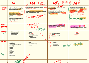 Endocrinology - Endocrine - GENERAL TOPIC: REVIEW NOTES MIKYLA PARAGAS ...