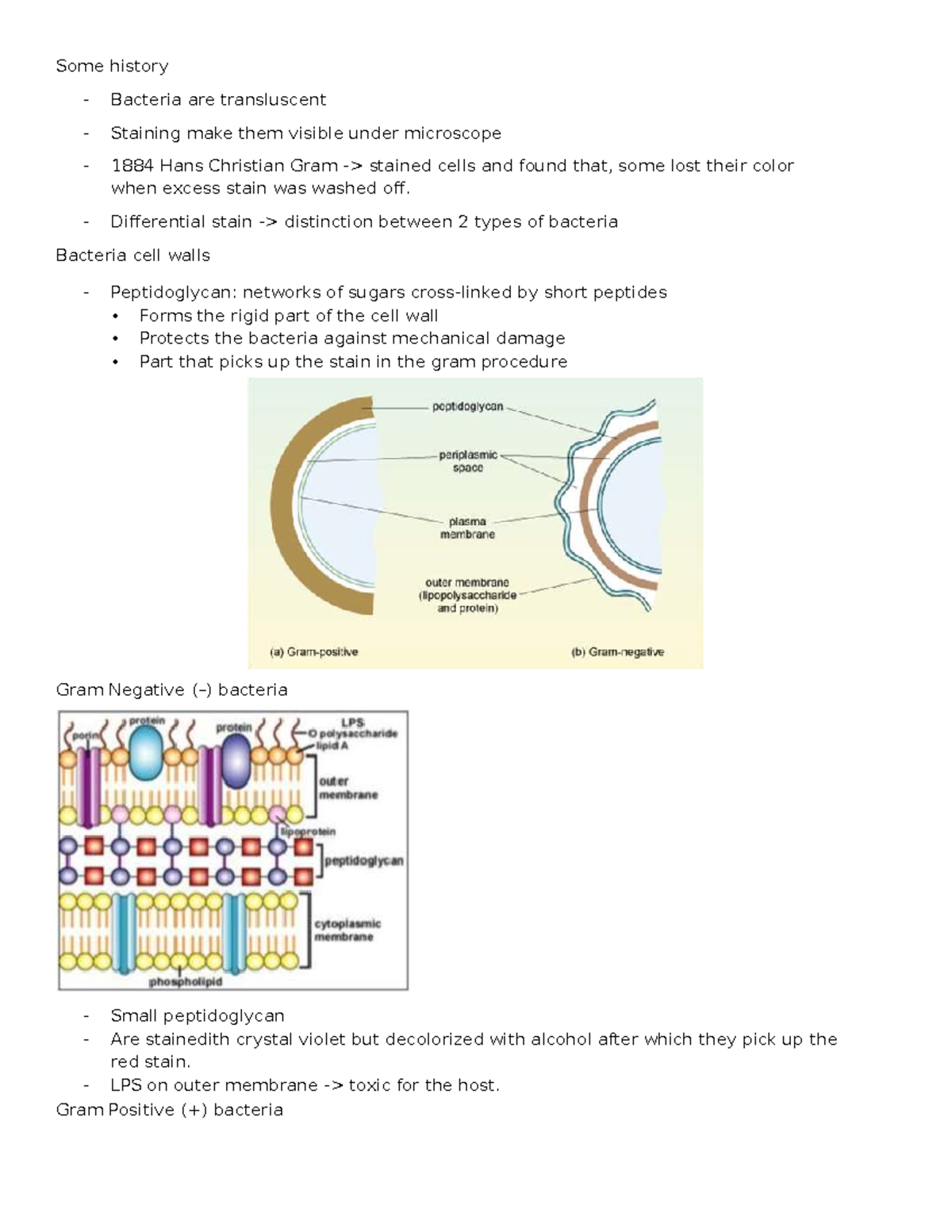 Bacteria - Some history Bacteria are transluscent Staining make them ...