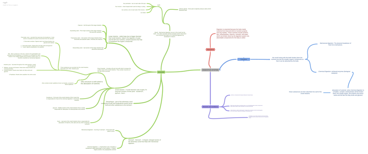 11 Aehby - Digestive System mind map - DIGESTIVE SYSTEM structures ...