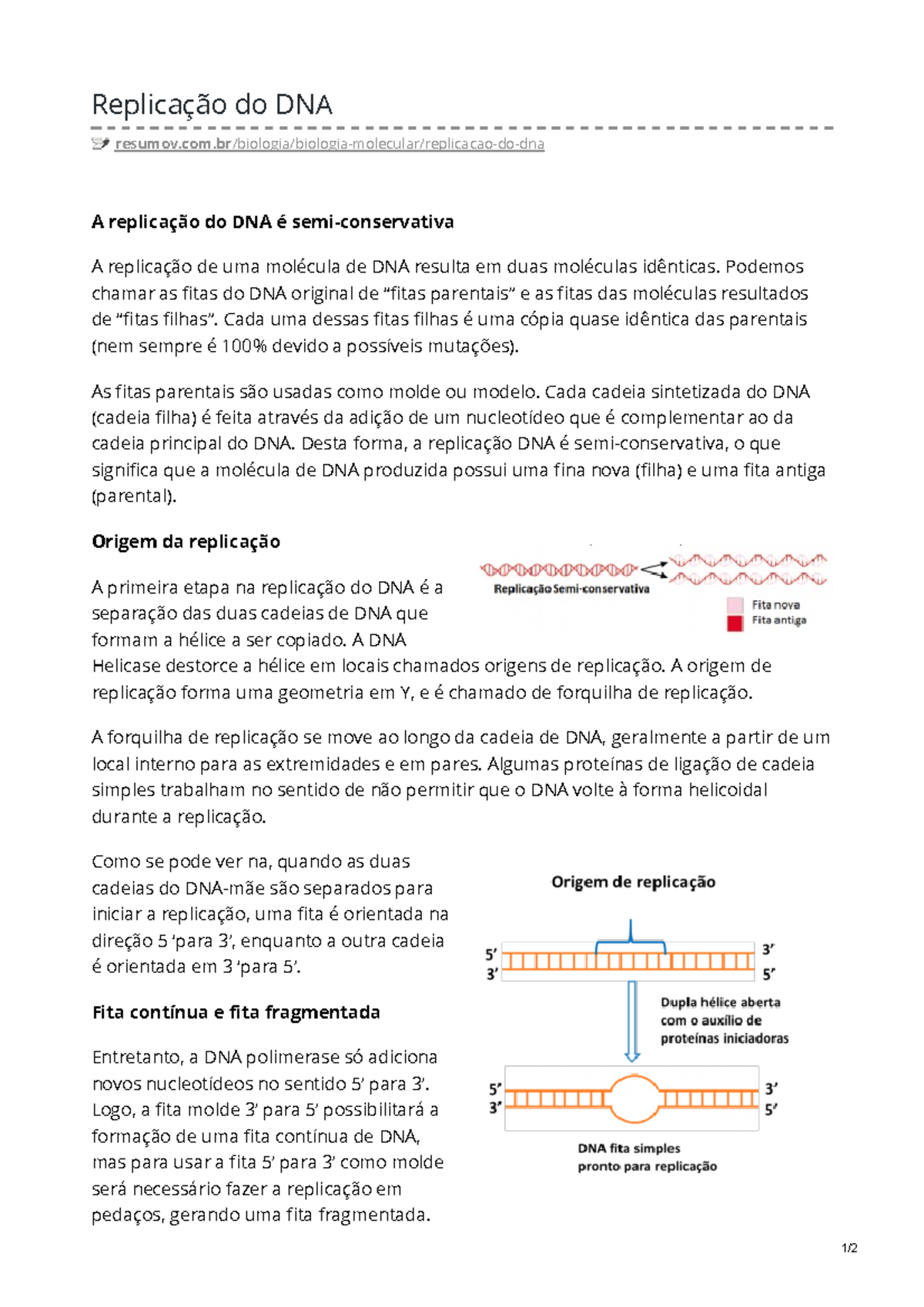 Replicação do DNA - Replicação do DNA resumov.com/biologia/biologia ...