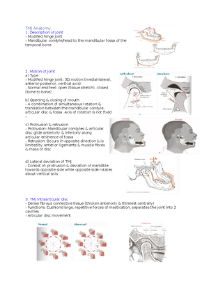 Spinal Muscles - BM Anatomy - Lecturer Alex Trollope. Spine Anatomy ...