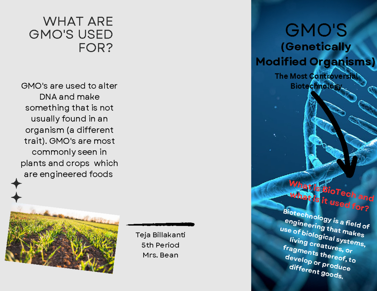 GMo science project - 2222 - DISCOUNT UP TO GMO'S The Most Controversial Biotechnology What is ...