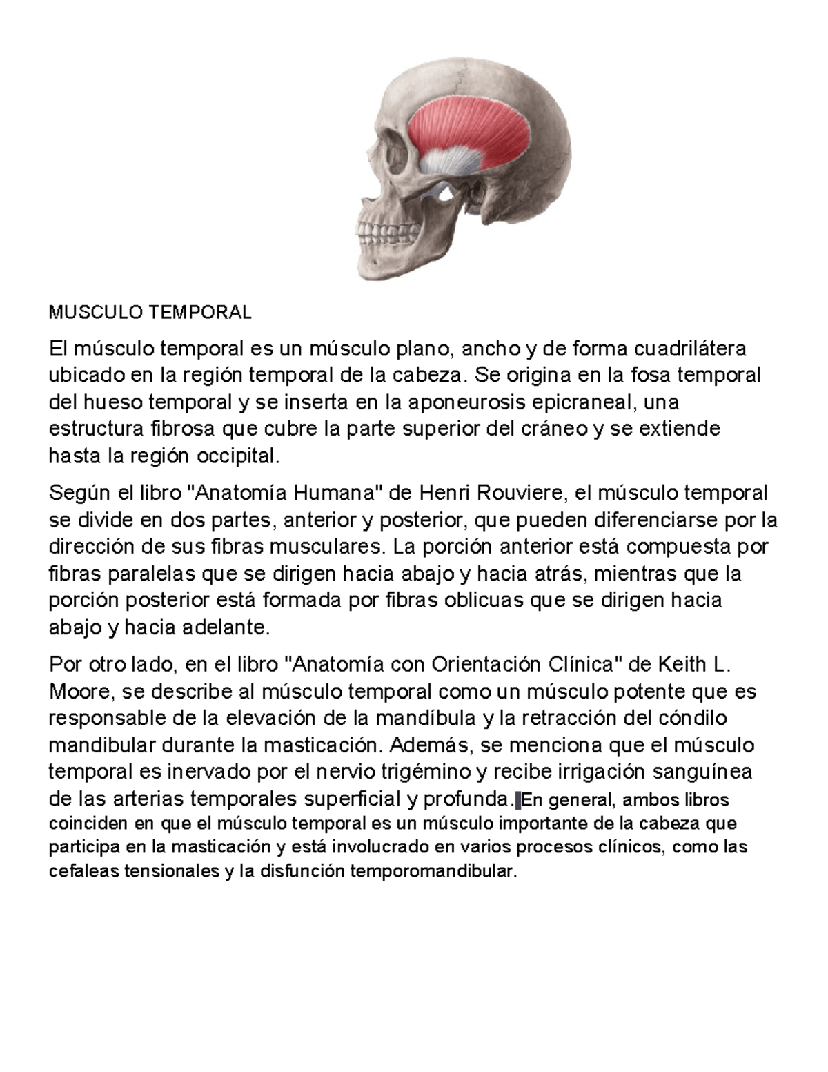 Musculos - MUSCULO TEMPORAL El músculo temporal es un músculo plano ...