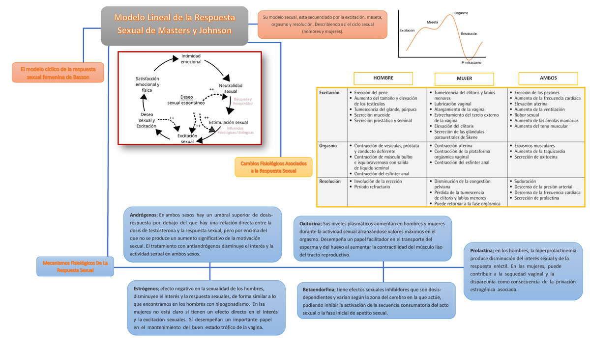 Masters Y Johnson - Conceptos basicos - Su modelo sexual, esta ...