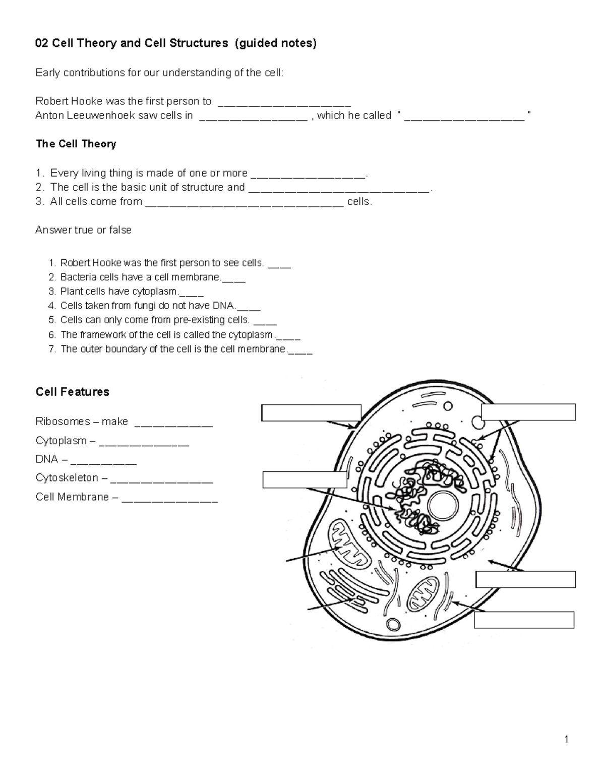 02 Cell Theory and Cell Structures (guided notes) - Every living thing ...