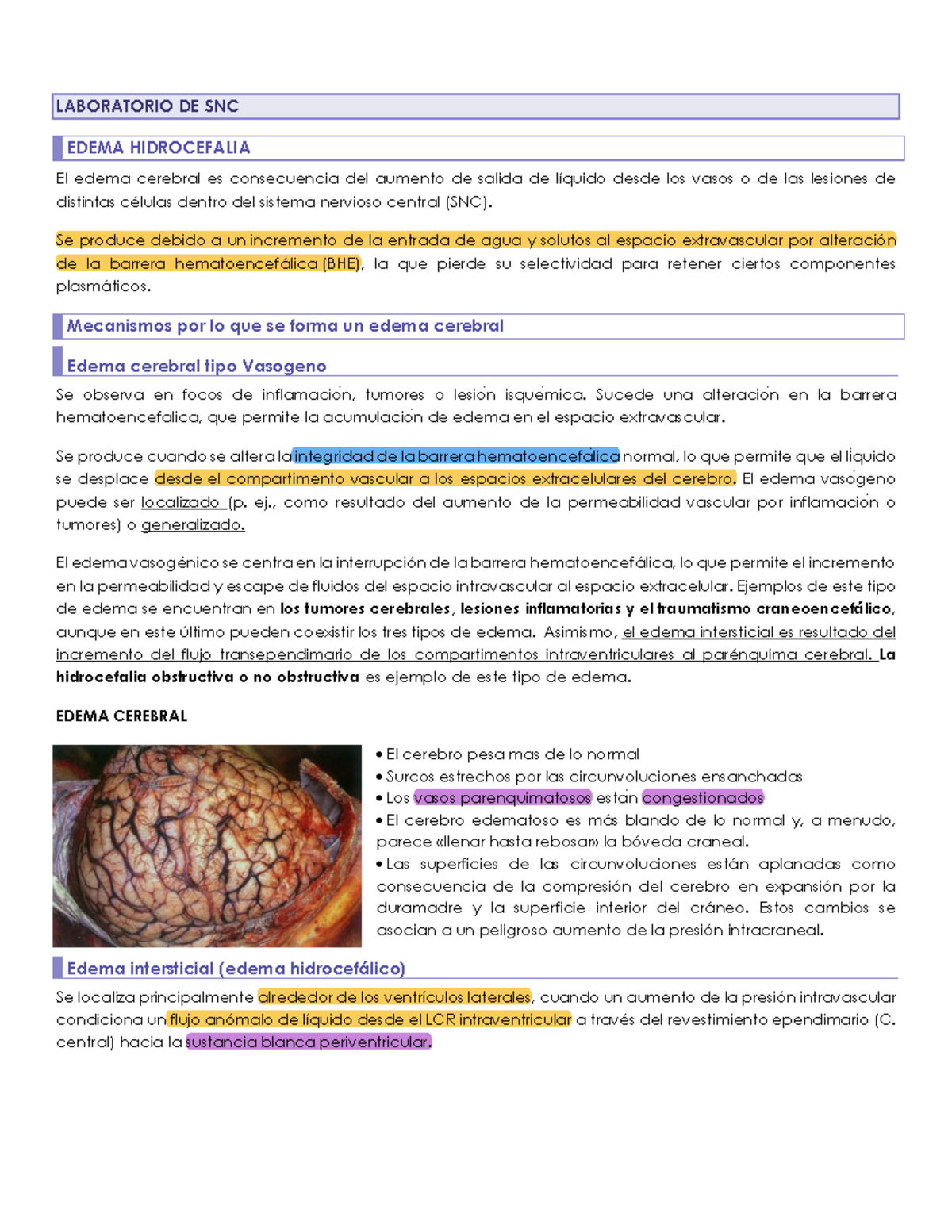 Laboratorio DE SNC - lab SNC - LABORATORIO DE SNC EDEMA HIDROCEFALIA El ...