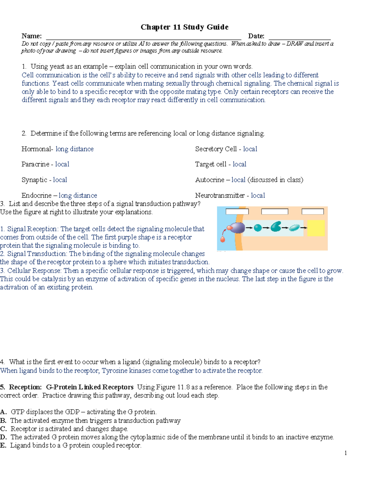 Chapter 11 Study Guide F23 - Chapter 11 Study Guide Name: - Studocu