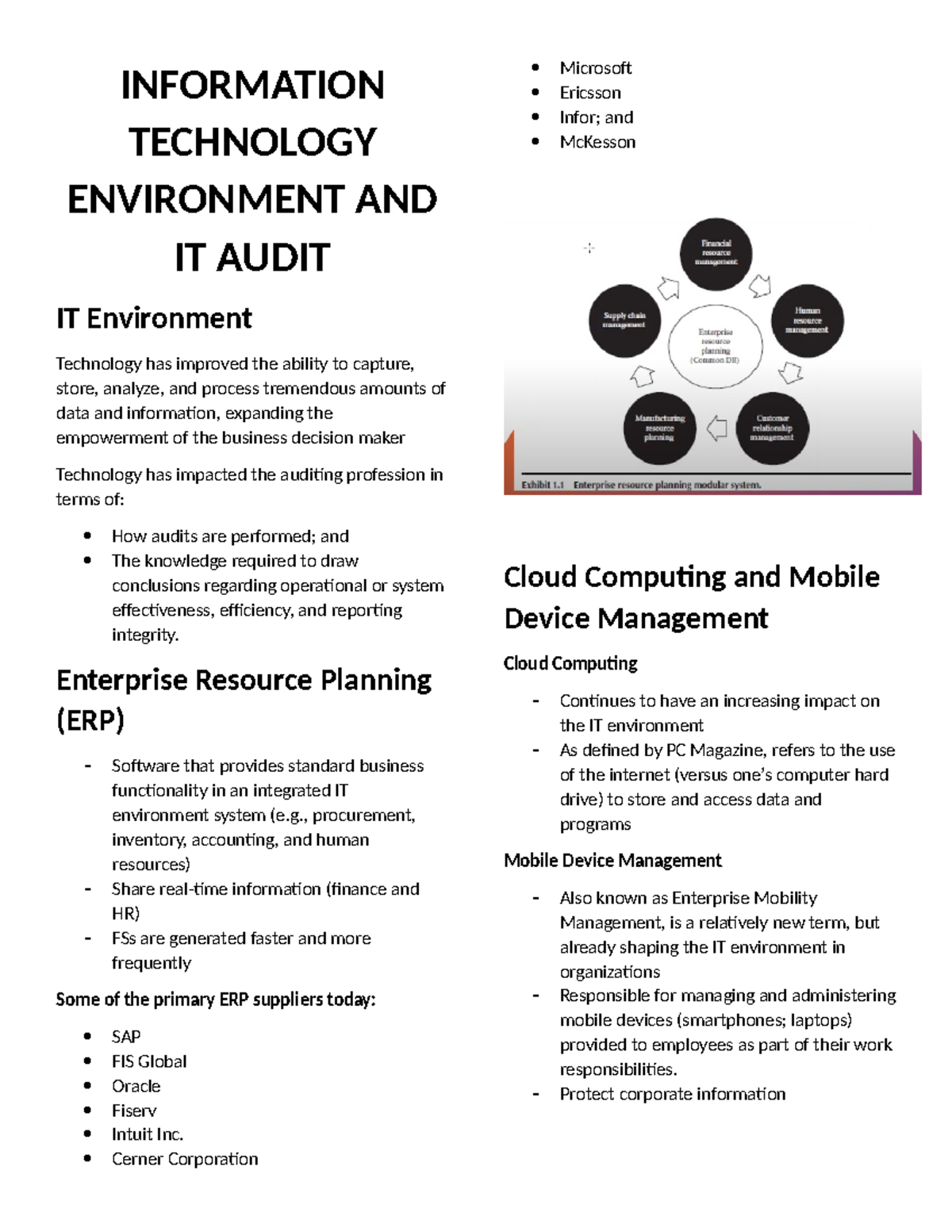 Information Technology Environment AND IT Audit - INFORMATION ...