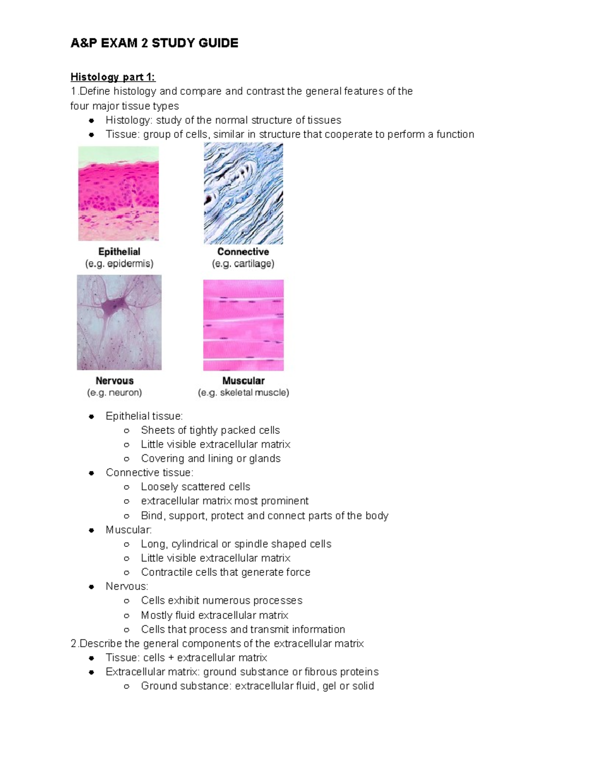 A&P EXAM 2 Study guide - Lecture notes 9-16 - Histology part 1: 1 ...