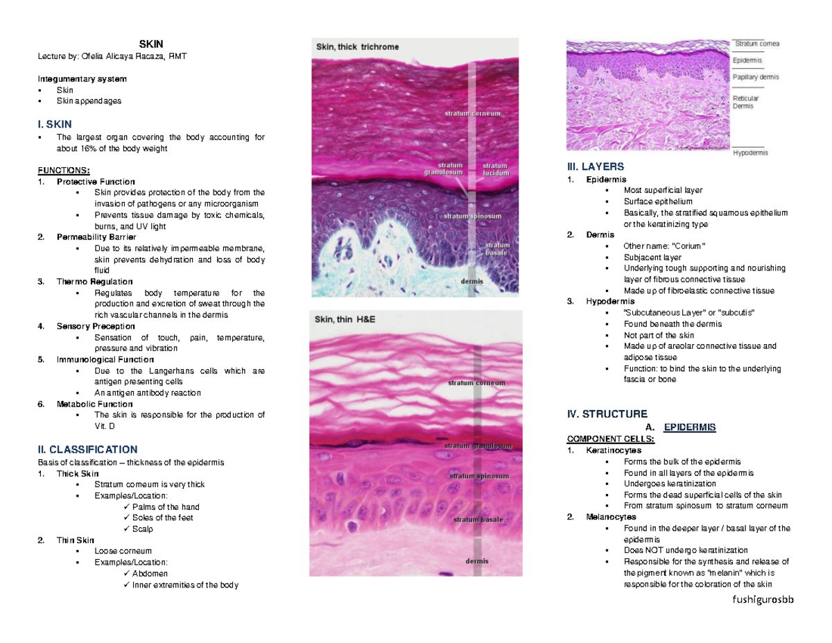 SKIN-ORAL- Cavity - cytogenetics - SKIN Lecture by: Ofelia Alicaya ...