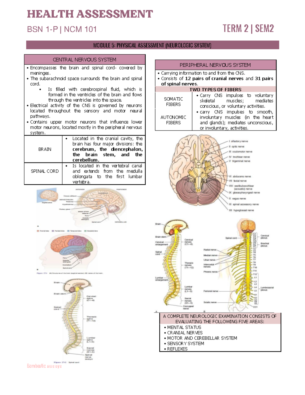 NCM 101 Neurologic System - BSN 1-P | NCM 101 TERM 2 | SEM MODULE 5 : PHYSICAL ASSESSMENT - Studocu