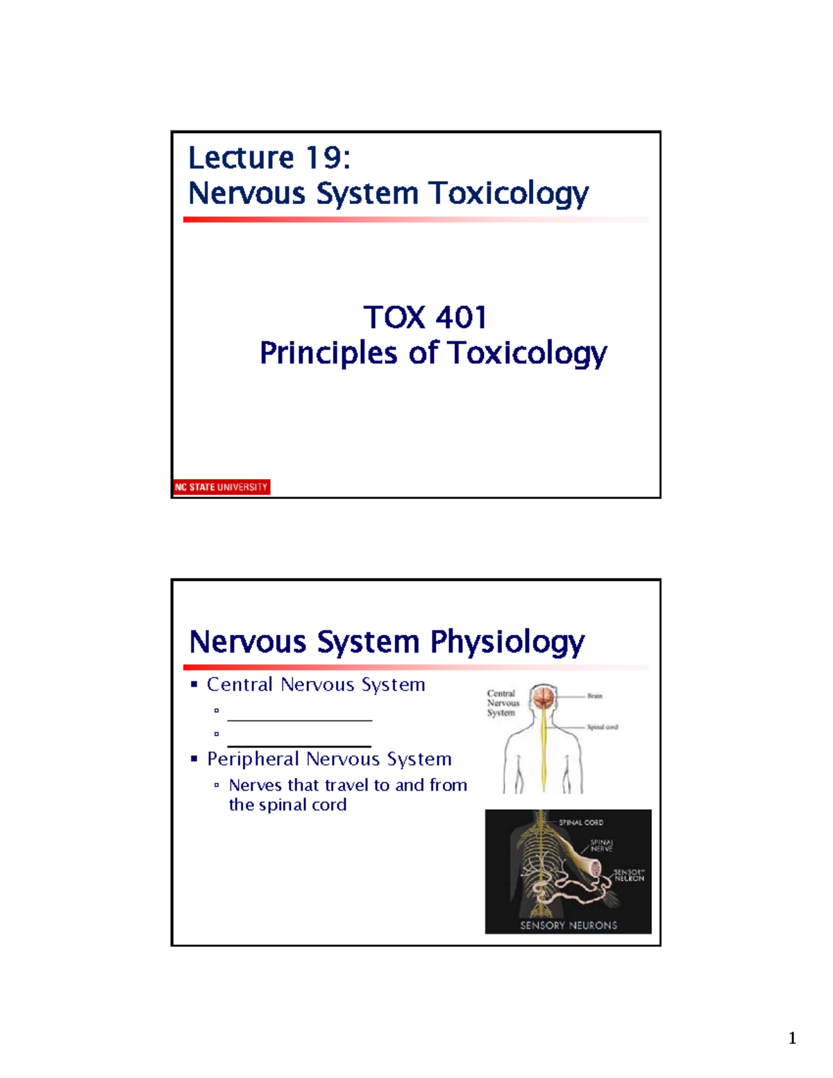 401-19 - Nervous System Toxicology - Lecture 19: Nervous System ...