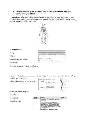 Btec-sport-revision-guide-skeletal-system-2019 - NAME: BTEC Revision ...