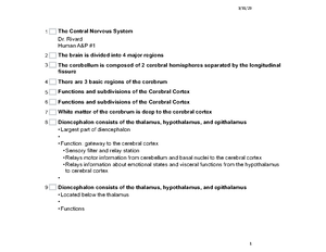The Peripheral Nervous System - The Peripheral Nervous System Divisions ...