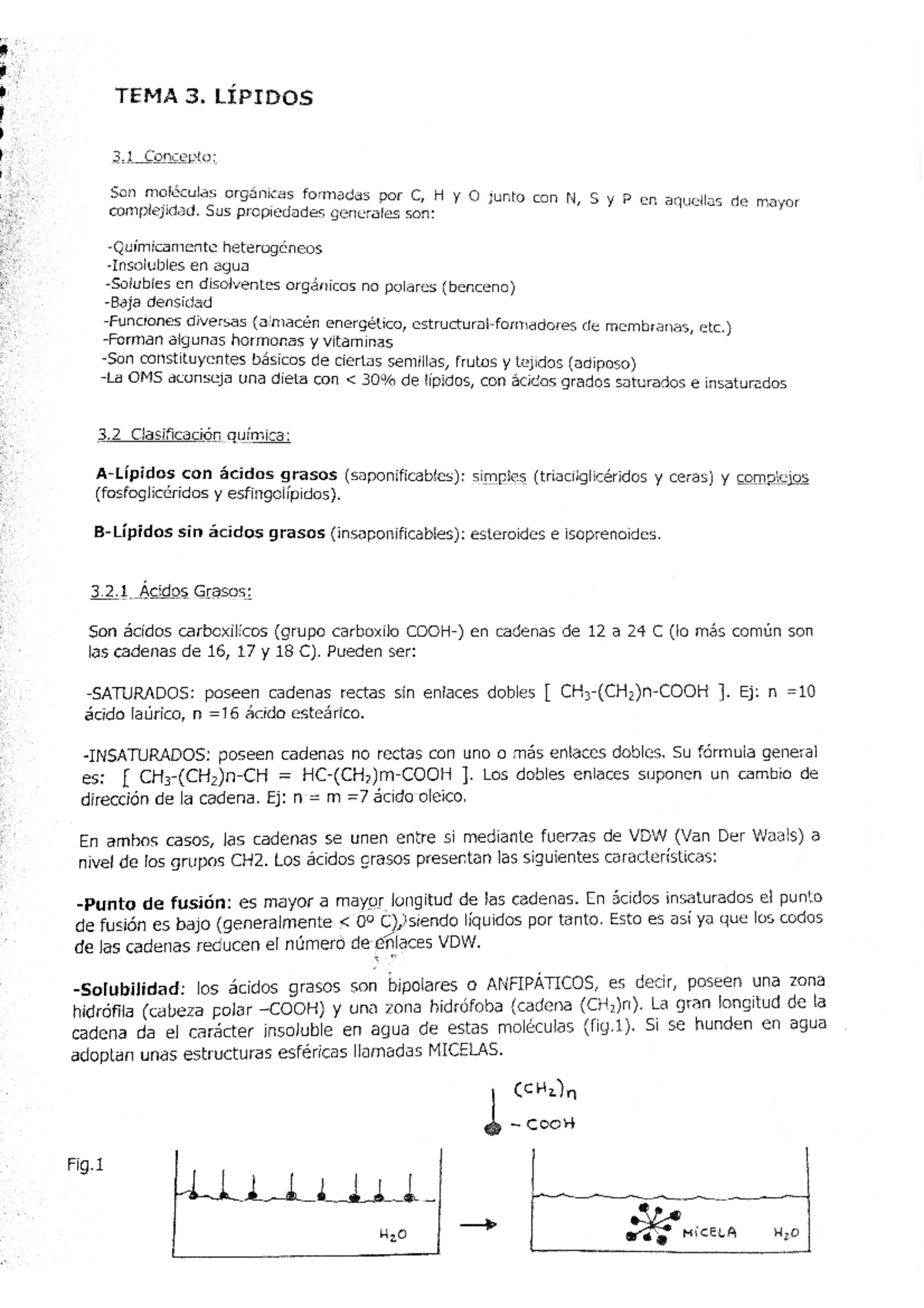 Tema 3 Los Lípidos - lipidos - Ciencias Naturales - Studocu