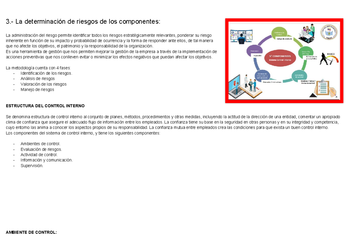 corina hyuj rivade - 3.- La determinación de riesgos de los componentes ...