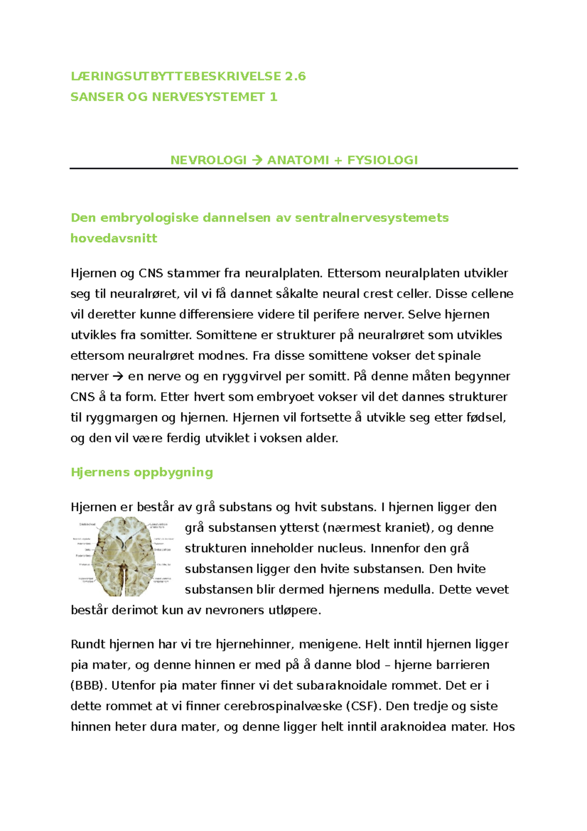 Læringsubyttebeskrivelse 2.6 Sanser og nervesystem 1 (Nevrologi, øyet og ØNH) - - Studocu