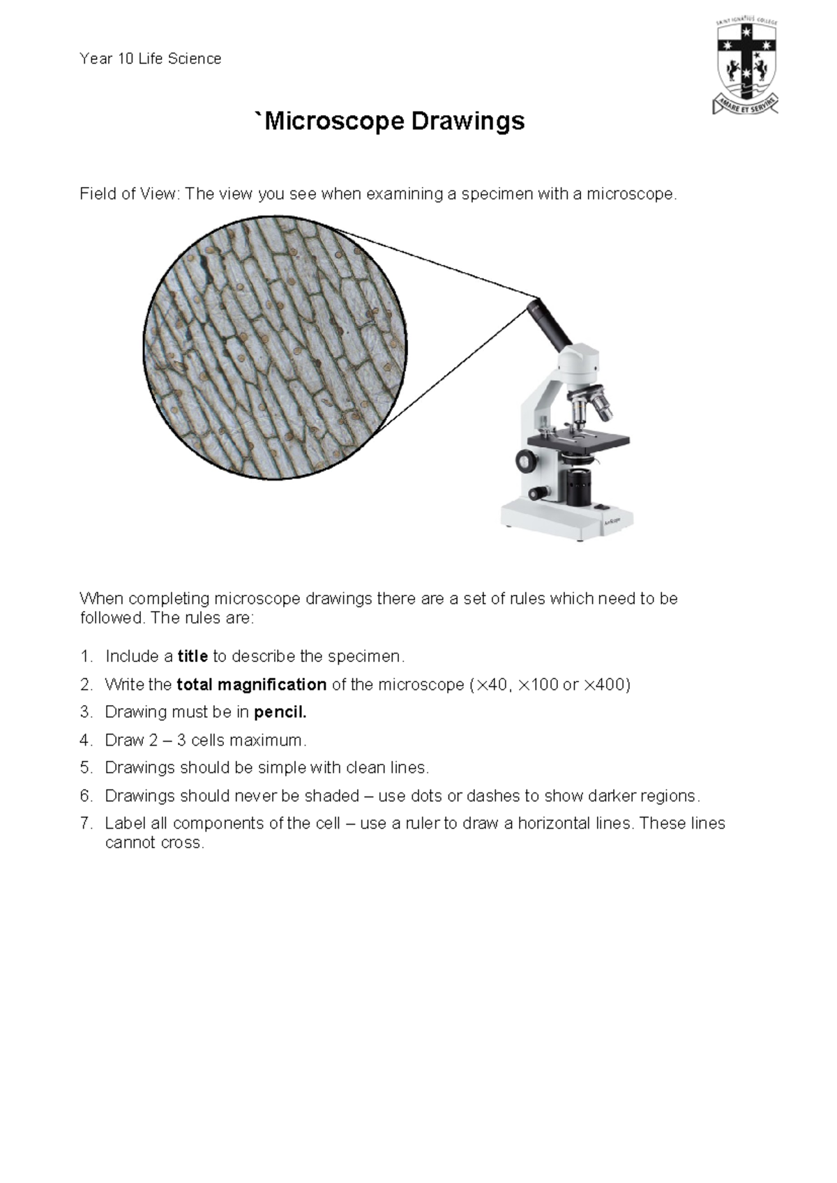 10LS.WS.Microscope Drawings - Year 10 Life Science `Microscope Drawings ...