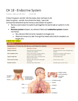 Chapter 26 The Digestive System - Chapter 26: The Digestive System ...