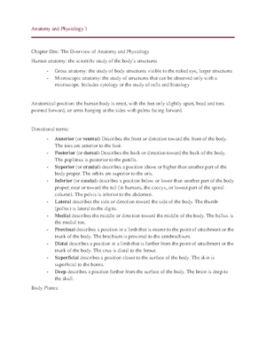 Appendicular Skeleton Terms List - BIO 201 - Human Anatomy & Physiology ...