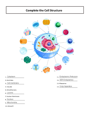 Dihybrid Cross answer sheet - BIOL 1010 - Studocu