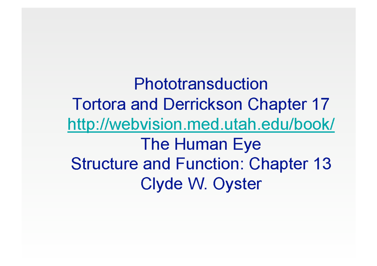 Ophthalmic Anatomy and Physiology- Retina: Photo-transduction Lecture ...
