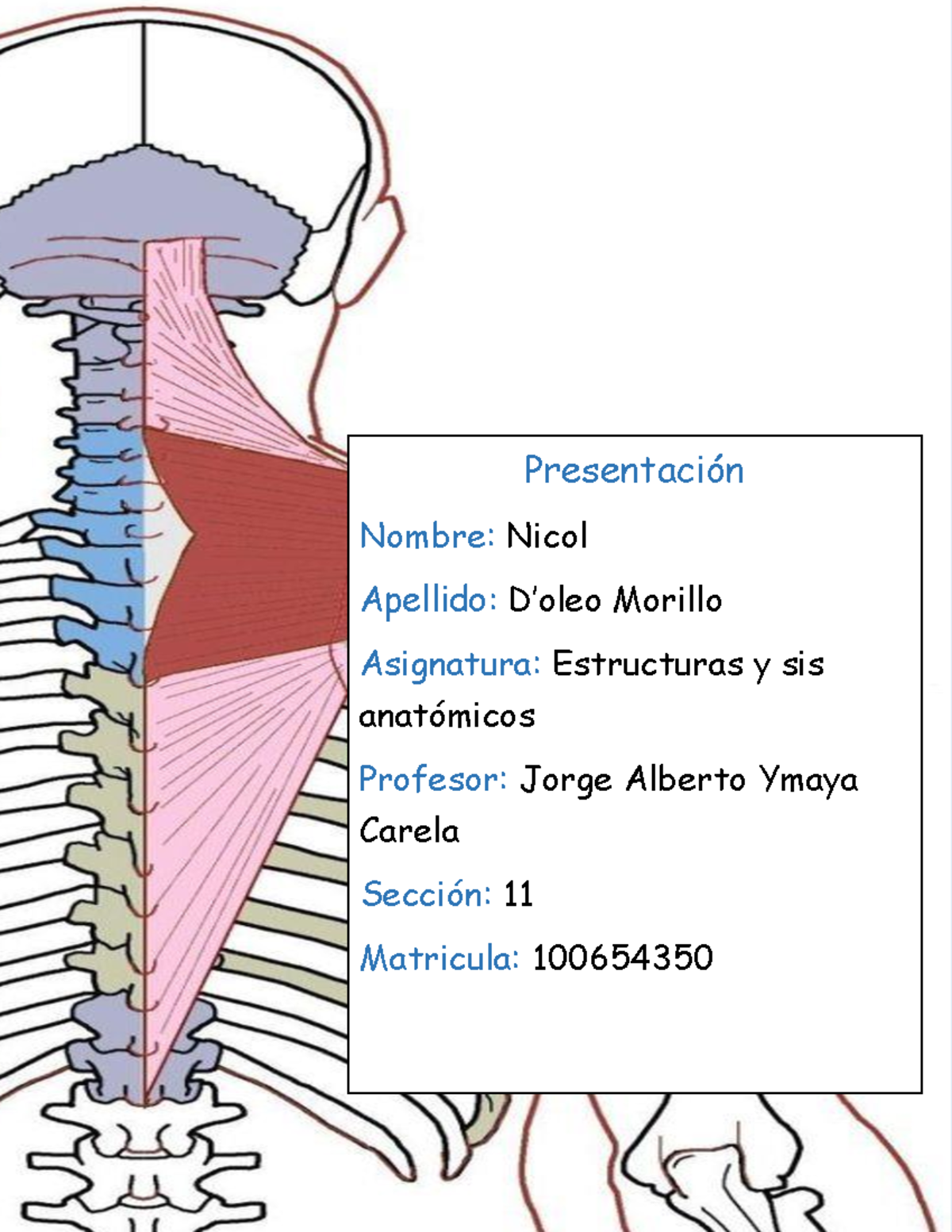 Conceptos anatomia 2024 - Presentación Nombre: Nicol Apellido: D’oleo ...