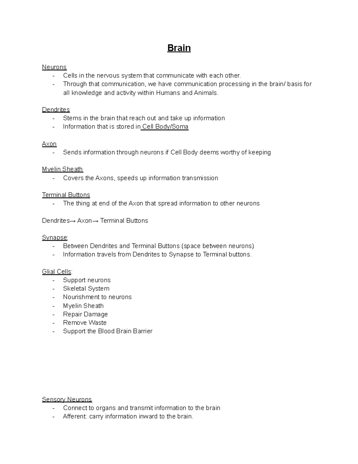 (Unit 2 Gen Psych) - Brain Neurons - Cells in the nervous system that ...