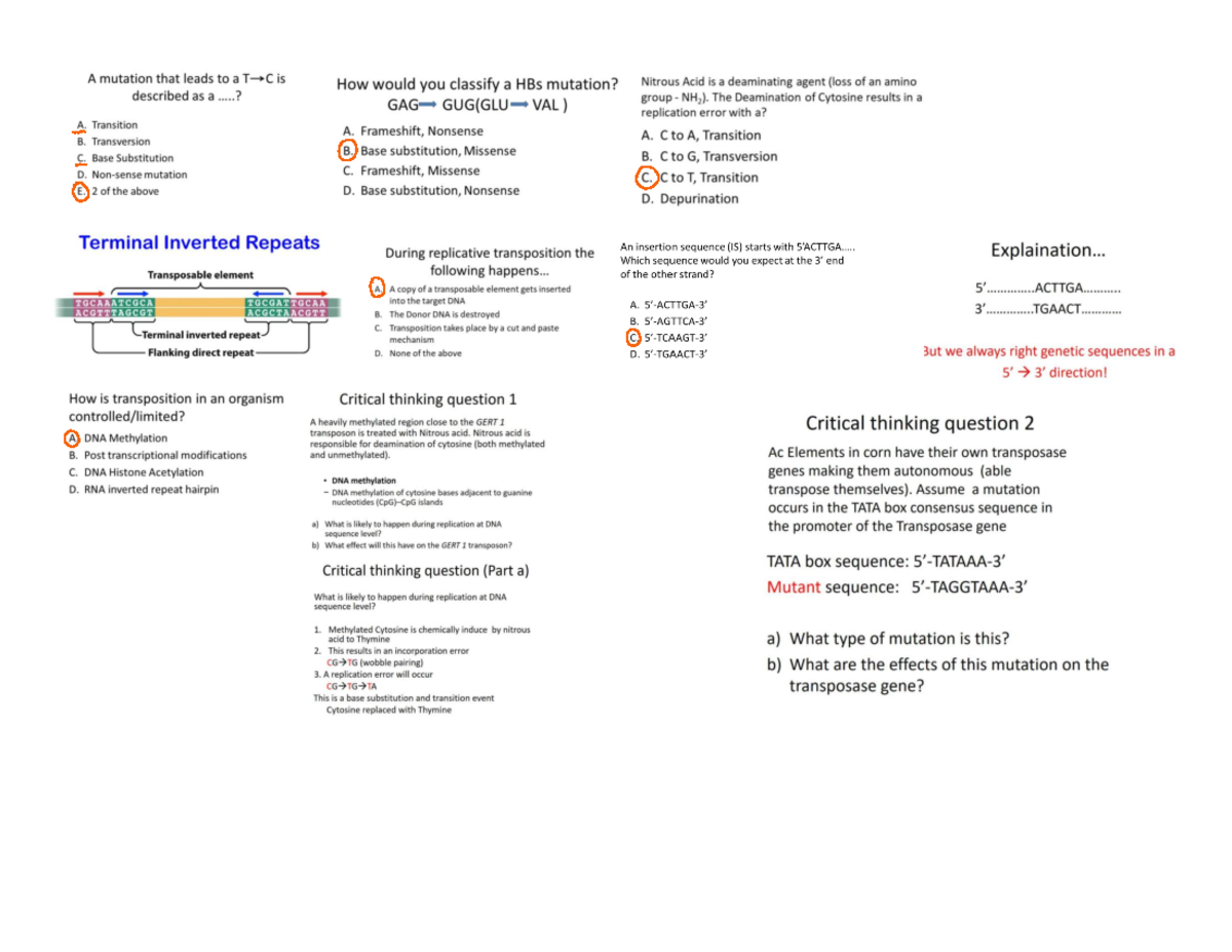 Tut clicker Questions - GTS 261 - Studocu