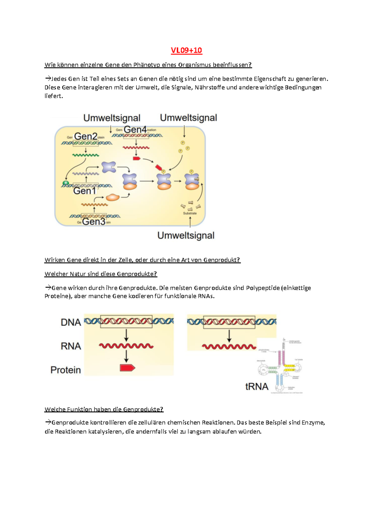 Genetik VL 09 und 10 - Prof. Schirawski - VL09+ Wie können einzelne ...