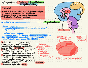 Pathology peripheral nervous system - Javon Davis Pathology:Peripheral ...