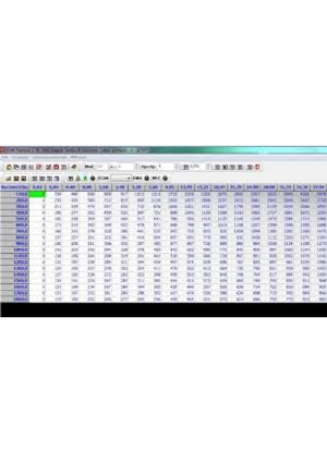 Lasater handout rubric - LASATER CLINICAL JUDGMENT RUBRIC Noticing and ...