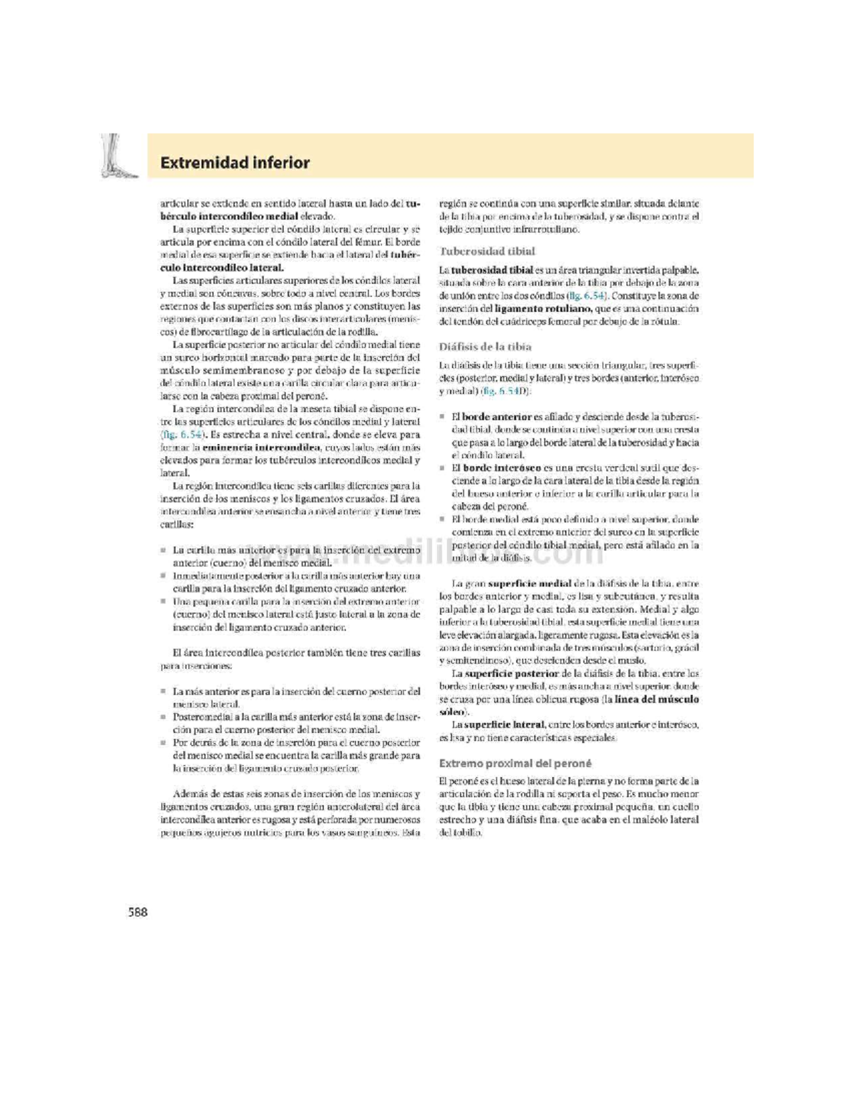 Anato - conceptos - anatomia - Studocu