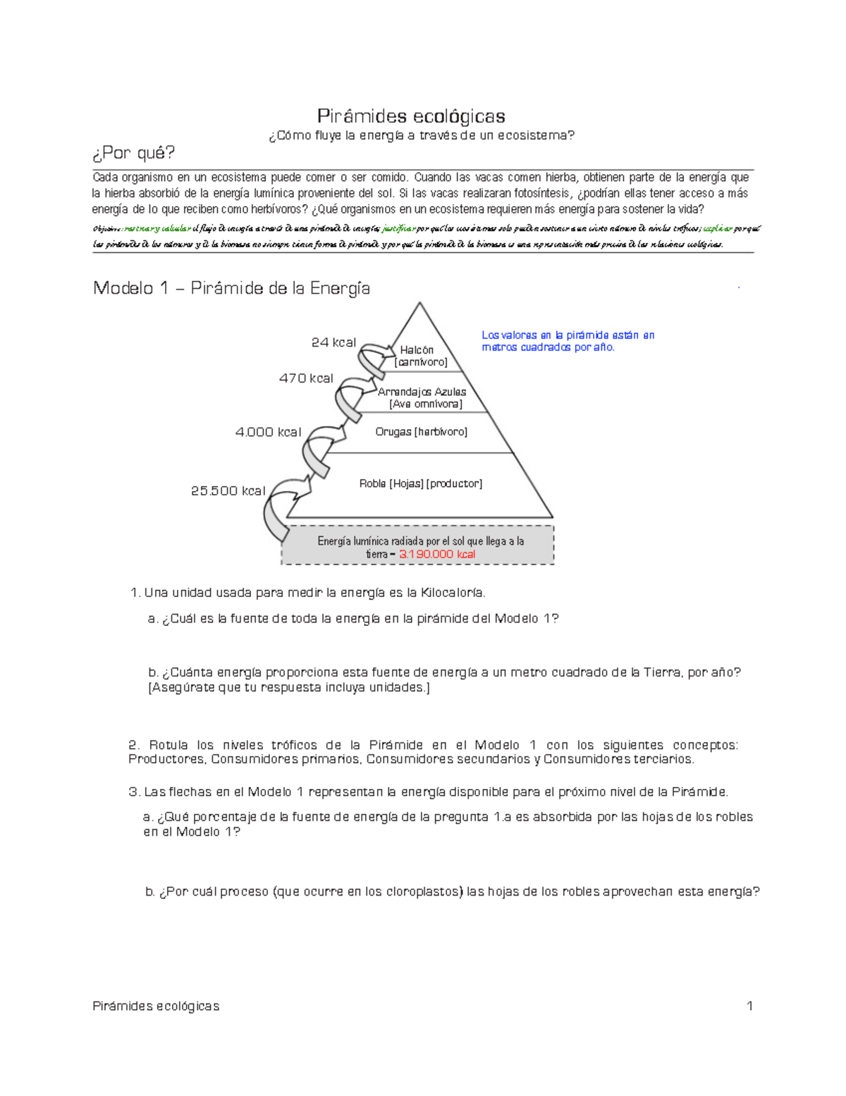 Piramides ecologicas 2 - ¿Por qué? 24 kcal 470 kcal Halcón (carnívoro ...