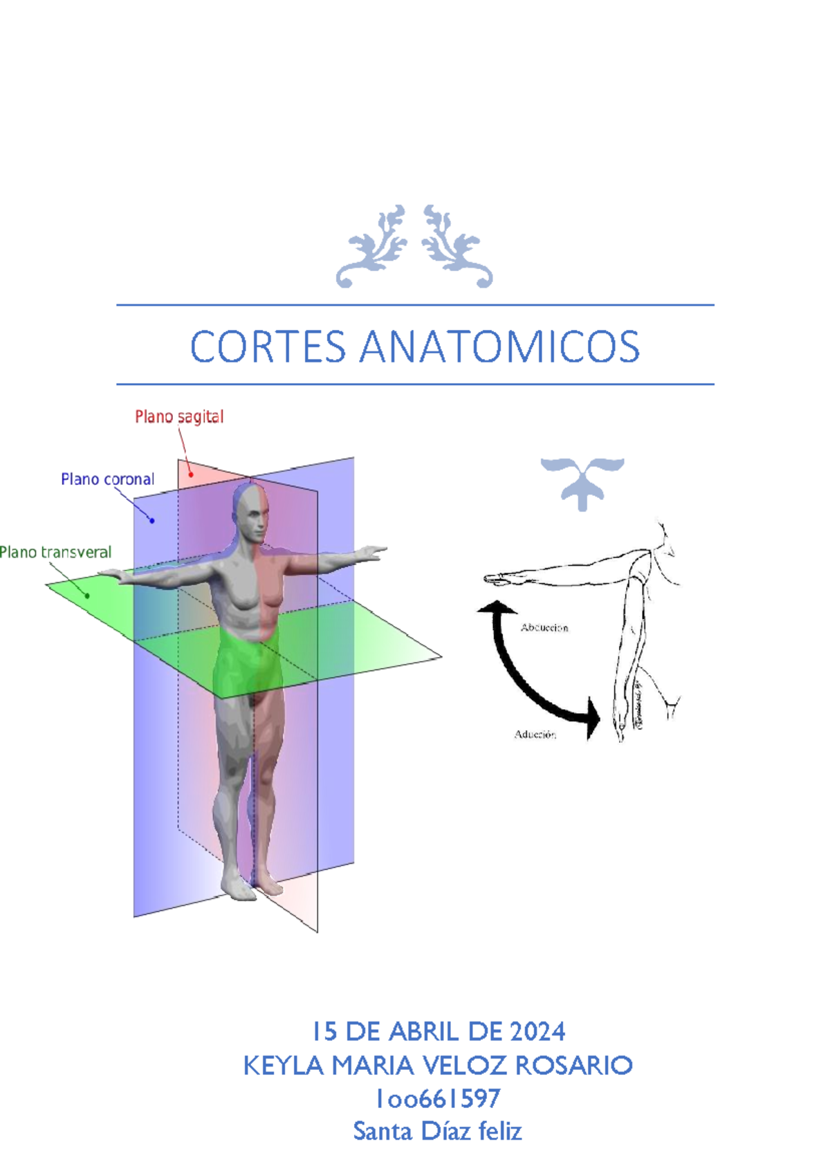 Cortes anatomicos - CORTES ANATOMICOS 15 DE ABRIL DE 2024 KEYLA MARIA ...