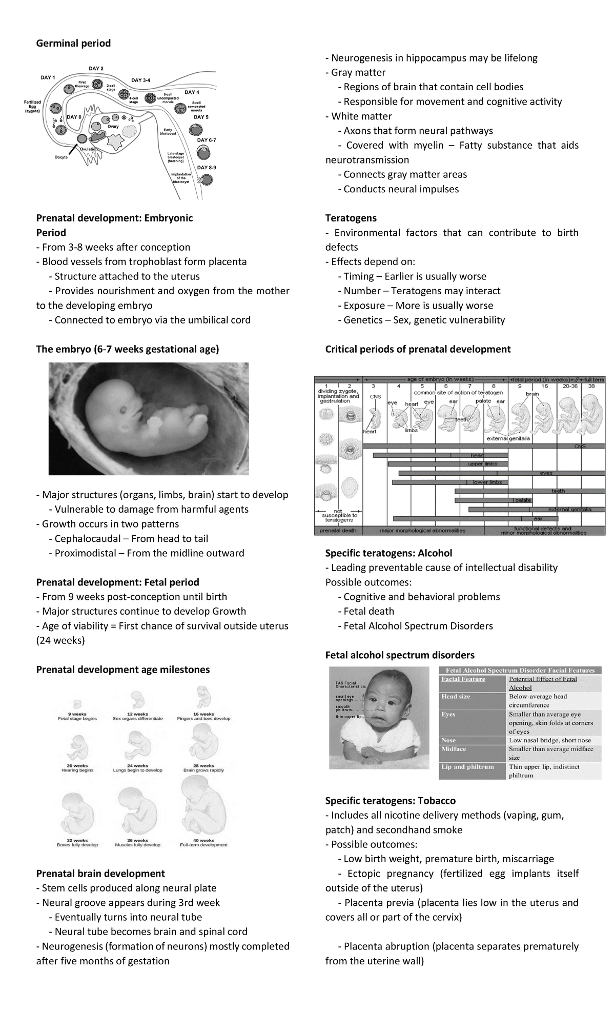 Developmental-psy-notes - Germinal period Prenatal development ...