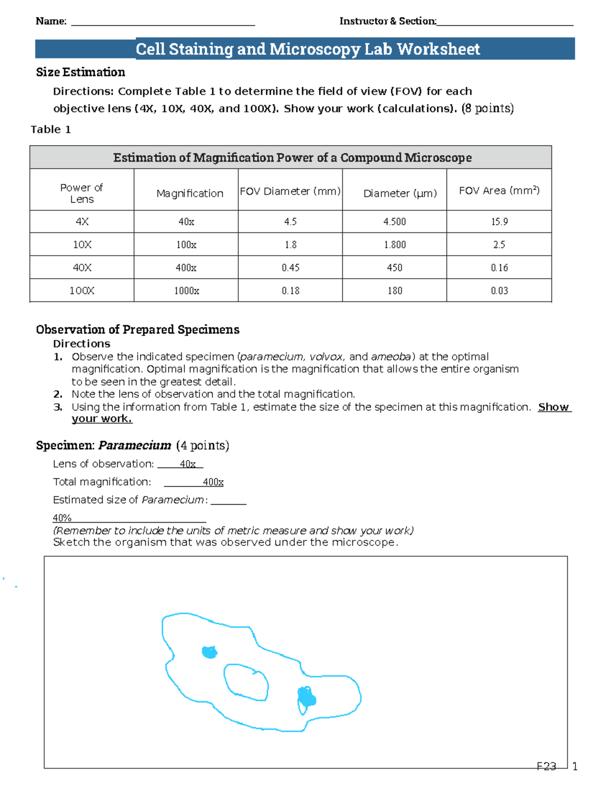 W2 Lab Worksheet Cell Staining and Microscopy - Cell Staining and ...