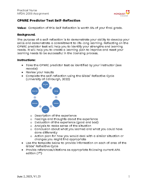 NFDN 2008 - Lecture notes - Professionalism in Nursing -. NFDN 2008 ...