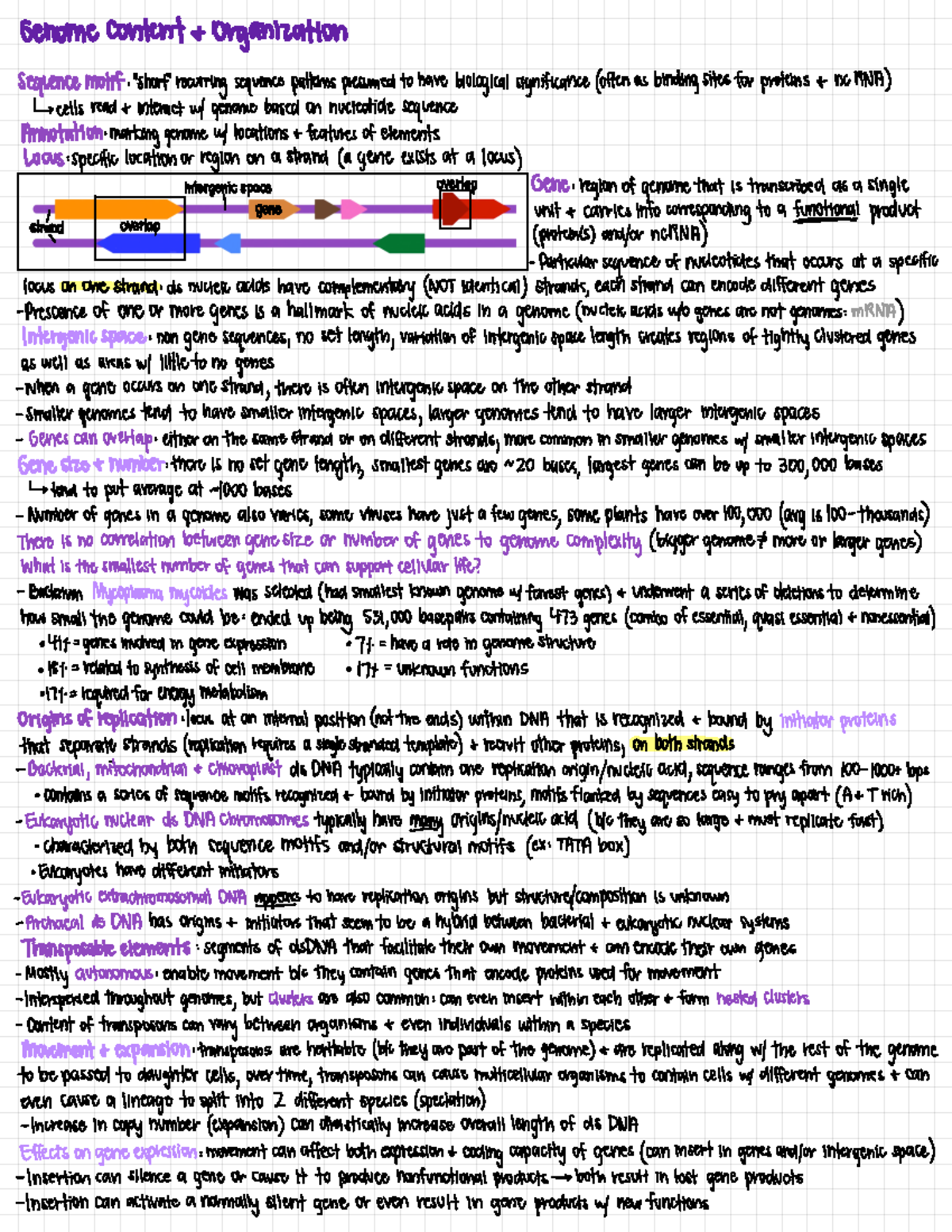 Genome content - Estep - Genome content- Organization sequence motif ...