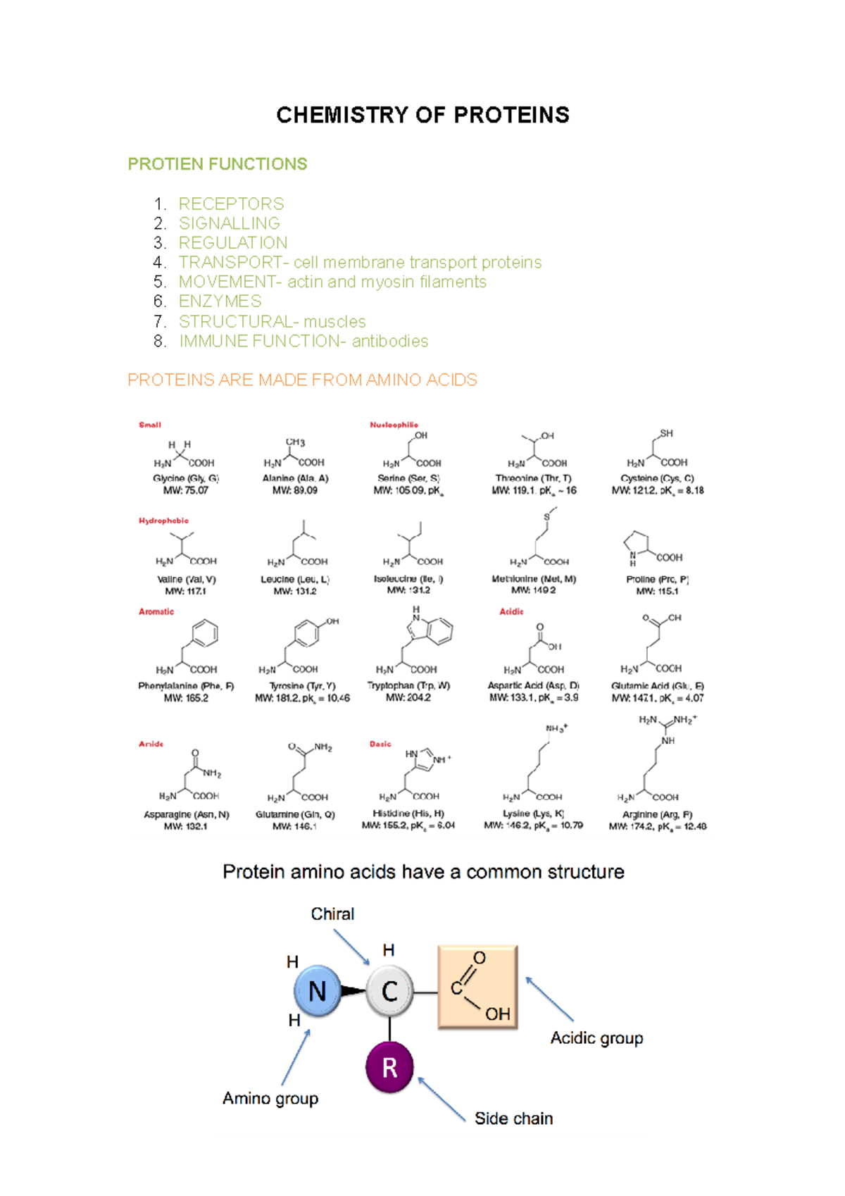 Chemistry OF Proteins - notes - CHEMISTRY OF PROTEINS PROTIEN FUNCTIONS ...