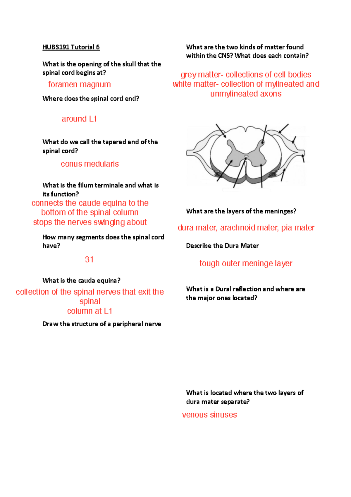 HUBS191 T6 Questions - HUBS191 Tutorial 6 What is the opening of the ...